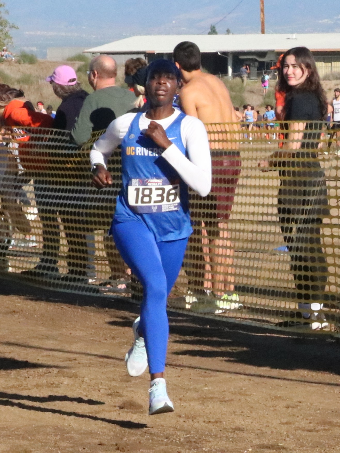 Finished Results - Article